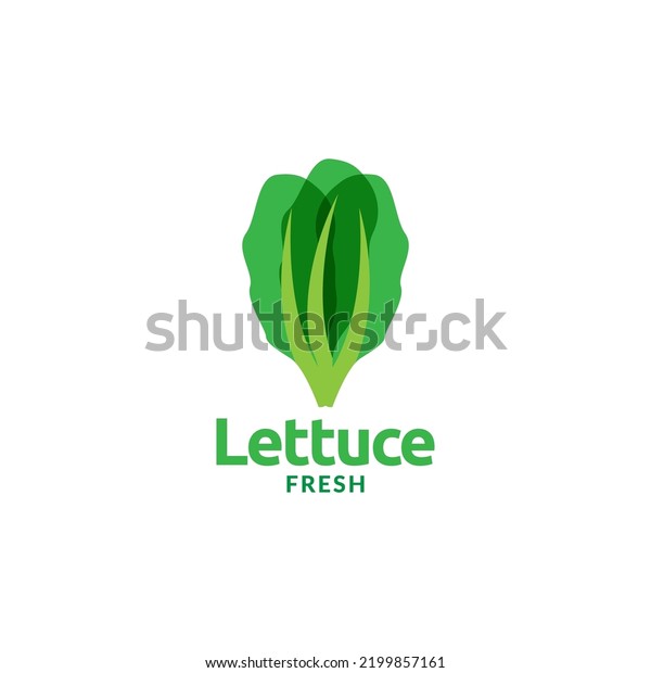Green Abstract Lettuce Logo Design Stock Vector (Royalty Free ...