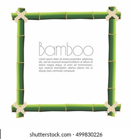Green Bamboo Frame Isolated On White Stock Vector (Royalty Free ...