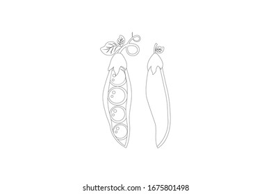 Green Beans Vector Outline Illustration Vegetable Stock Vector (Royalty ...