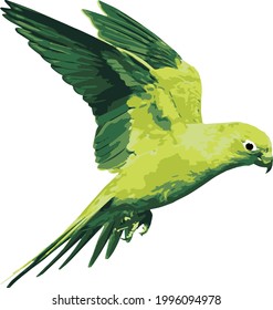 Green Bird Vector File Flying Bird Stock Vector (Royalty Free ...