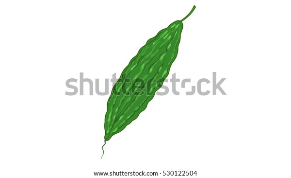 Green Bitter Gourd Vegetable Cartoon Vector Stock Vector (Royalty Free ...