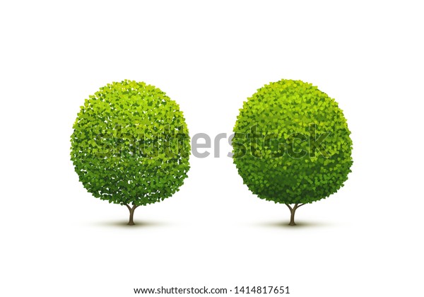 Green Bushes Shrubs Isolated Vector Stock Vector (Royalty Free ...