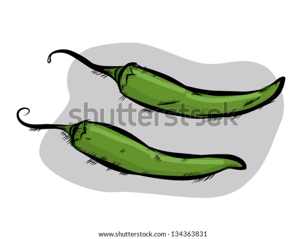 Green Chili Vector Cartoon Isolated Sketching Stock Vector (Royalty ...