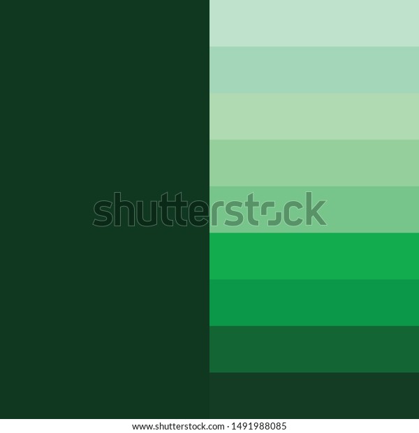 Green Color Palette Vector Illustration Stock Vector (Royalty Free ...