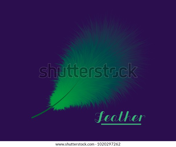 Green Colour Feather Vector Illustration Stock Vector (Royalty Free ...