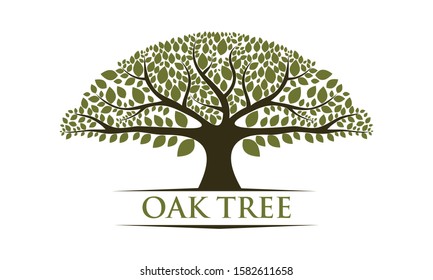 Green Creative Oak Tree Logo Design Stock Vector (Royalty Free ...