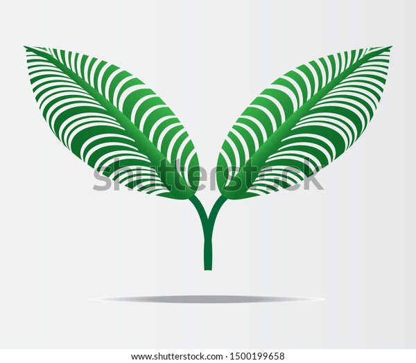 Green Cycas Leaf Vector Design Stock Vector (Royalty Free) 1500199658 ...