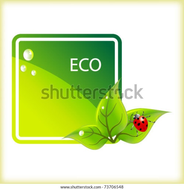 Green Eco Banner Stock Vector (Royalty Free) 73706548 | Shutterstock