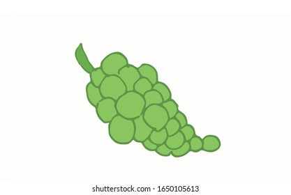 Green Grape Vector Illustration Draw Delicious Stock Vector (Royalty ...