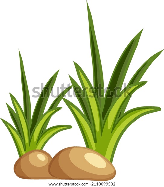 Green Grass Cartoon Style Stone Illustration Stock Vector (Royalty Free ...