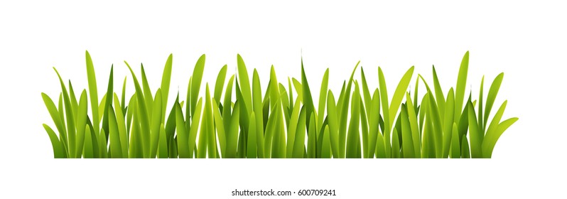 Green Grass Horizontal Texture Background Nature Stock Vector (Royalty ...