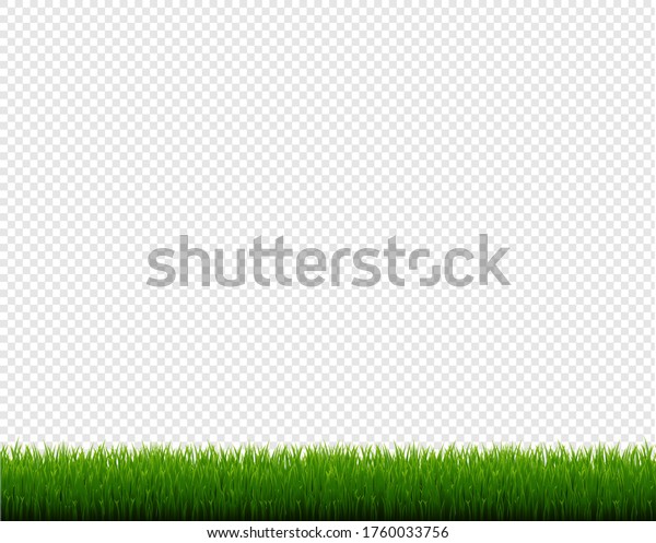 Green Grass Frame Isolated Transparent Background Stock Vector (Royalty ...