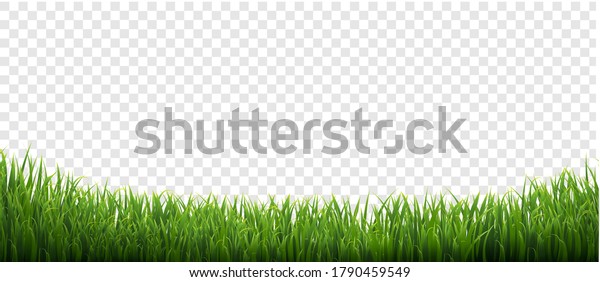 Green Grass Isolated Transparent Background Gradient Stock Vector ...