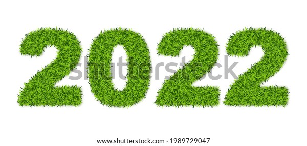 Green Grass Numbers 2020 Isolated On Stock Vector (Royalty Free ...