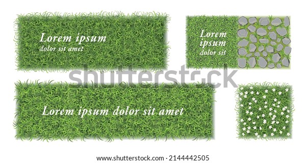 Green Grass Realistic Top View Spring Stock Vector (Royalty Free ...