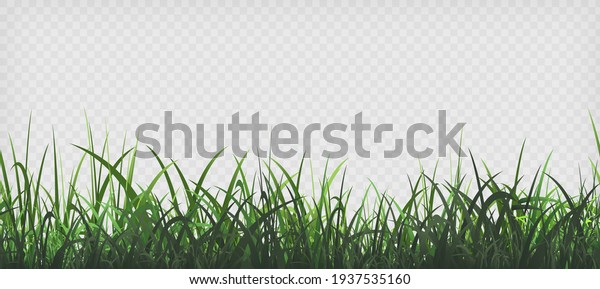 Green Grass Template Seamless Pattern Isolated Stock Vector (Royalty ...