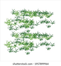 Green Grasses Vector Art Garden Stock Vector (Royalty Free) 1957899964 ...
