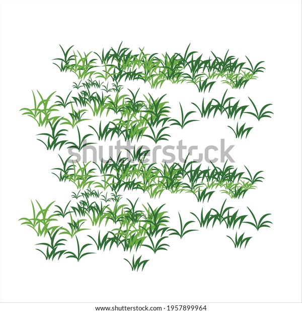Green Grasses Vector Art Garden Stock Vector (Royalty Free) 1957899964 ...
