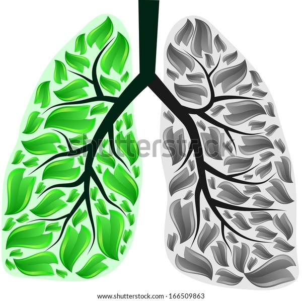 Green Gray Human Lungs Eps10 Stock Vector (Royalty Free) 166509863 ...