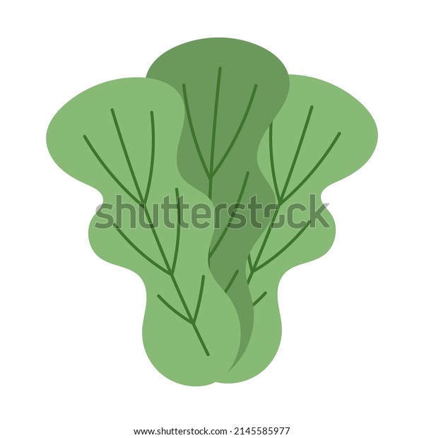 Green Kale Vector Isolated On White Stock Vector (Royalty Free ...