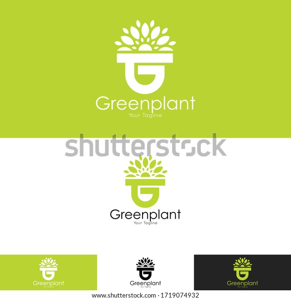 Green Leaf Logo Design Color Combination Stock Vector (Royalty Free ...