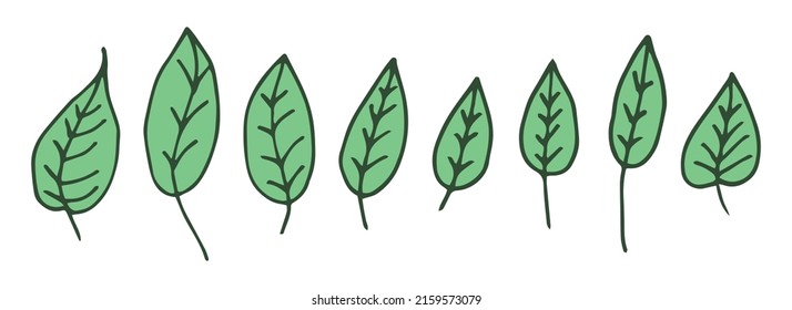 Green Leaves Doodle Set Vector Illustrations Stock Vector (Royalty Free ...