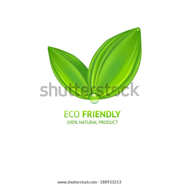 Green Leaves Label Vector Eco Label Stock Vector (Royalty Free ...