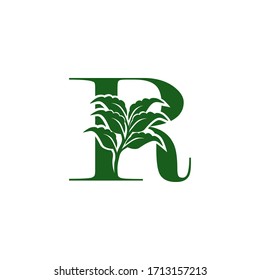 Green Letter R Logo Leaf Element Stock Vector (Royalty Free) 1713157213 ...