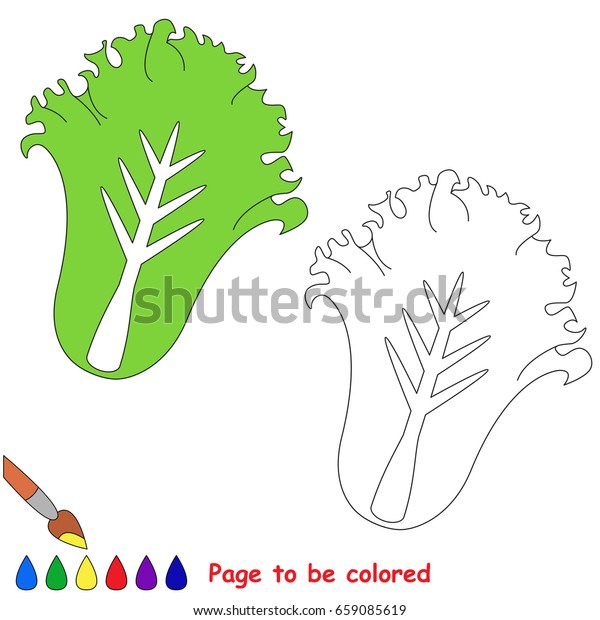 Green Lettuce Be Colored Coloring Book Stock Vector (Royalty Free ...