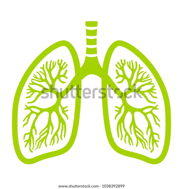 Green Lungs Vector Icon Illustration Isolated Stock Vector (Royalty ...