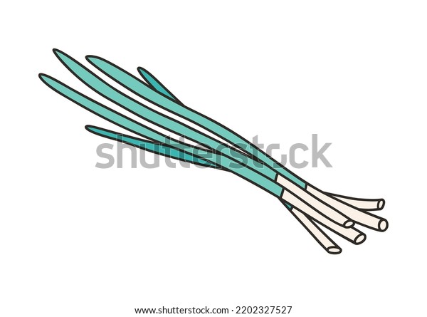Green Onion Chives Vector Illustration Cartoon Stock Vector (Royalty ...