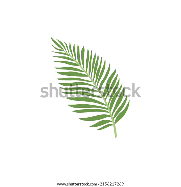 Green Palm Leaf Vector Illustration Stock Vector (Royalty Free ...