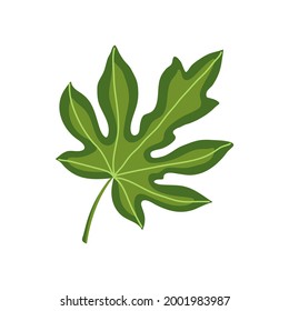 412 Papaya Tree Cartoon Images, Stock Photos & Vectors | Shutterstock