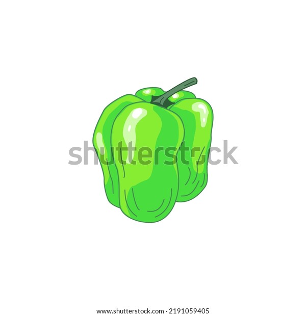 Green Pepper Cartoon Style Stroke Isolated Stock Vector (Royalty Free ...