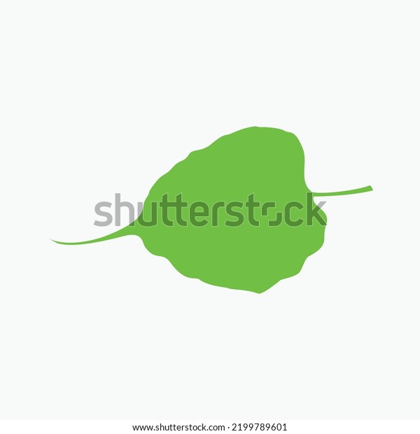 Green Pipal Leaf Natural White Background Stock Vector (Royalty Free ...