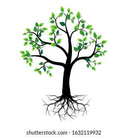 Green Rooted Tree White Background Vector Stock Vector (Royalty Free ...