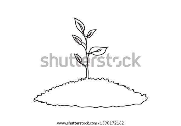 Green Sapling Line Drawing Style Vector Stock Vector (Royalty Free ...