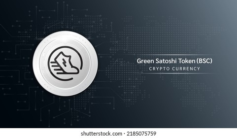 Green Satoshi Token Coin Cryptocurrency Token Stock Vector (Royalty ...