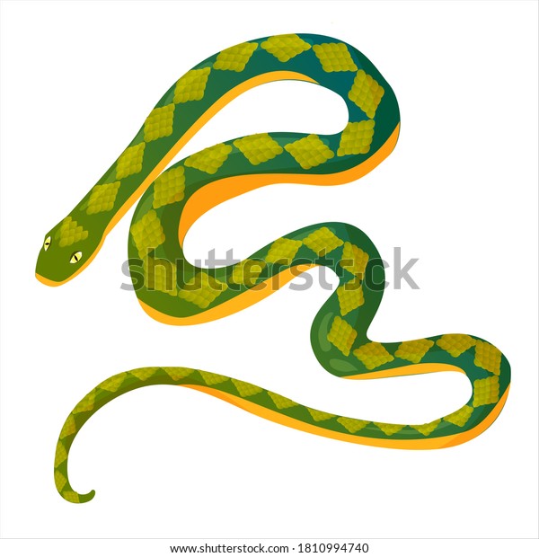Green Snake Cobra Viper Drawn Cartoon Stock Vector (Royalty Free ...