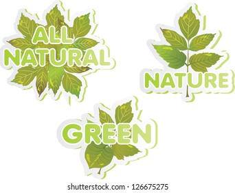 Green Stickers Stock Vector (Royalty Free) 126675275 | Shutterstock