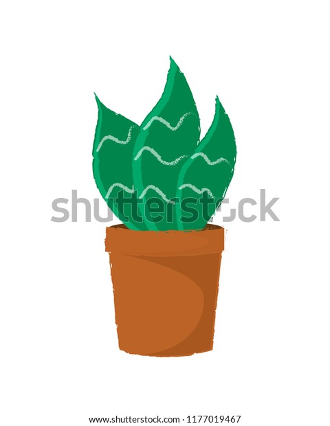 Green Succulent Plant Brawn Pot Vector Stock Vector (Royalty Free ...