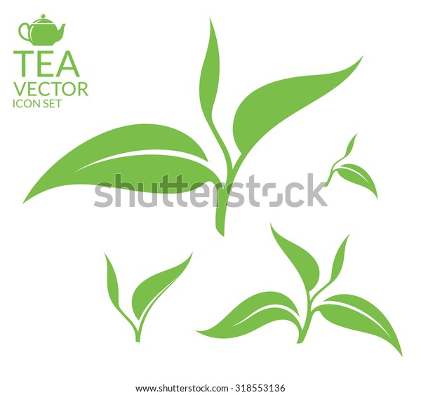 Green Tea Icon Set Isolated Tea Stock Vector (Royalty Free) 318553136 ...