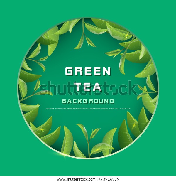 Green Tea Leaves Banner Nature Background Stock Vector (Royalty Free ...