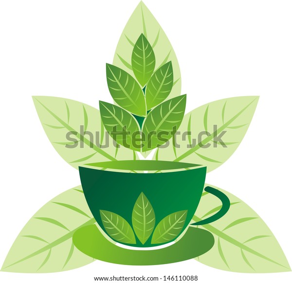 Green Tea Vector Illustration Stock Vector (Royalty Free) 146110088 ...