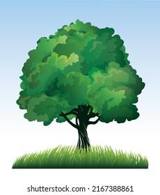 Green Tree Grass Vector Outline Illustration Stock Vector (Royalty Free ...