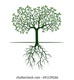 Realistic Tree Vector Illustration Roots Mangrove Stock Vector (Royalty ...