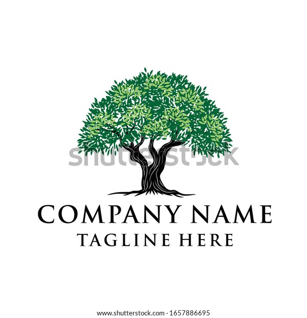 Inspiración en el diseño del logotipo del árbol verde
