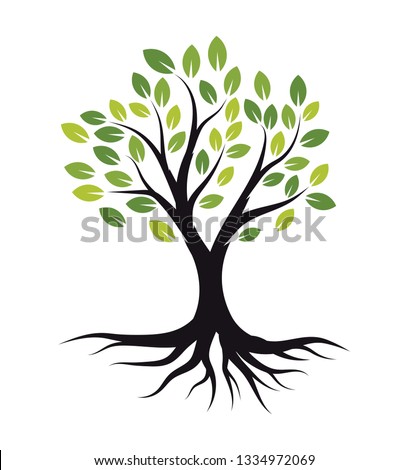 Tree And Roots Drawing | Free download on ClipArtMag