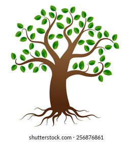 Green Tree Roots On White Background Stock Vector (Royalty Free ...