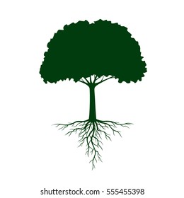 Green Tree Roots Vector Illustration Stock Vector (Royalty Free ...